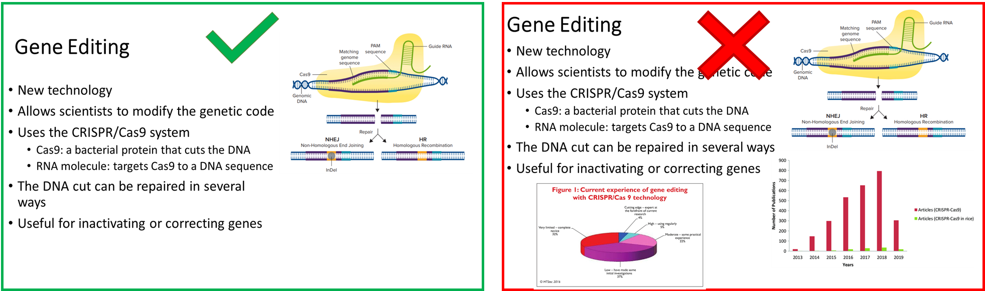 Presentation Skills: How to rock your presentation! - U4Success | IB ...